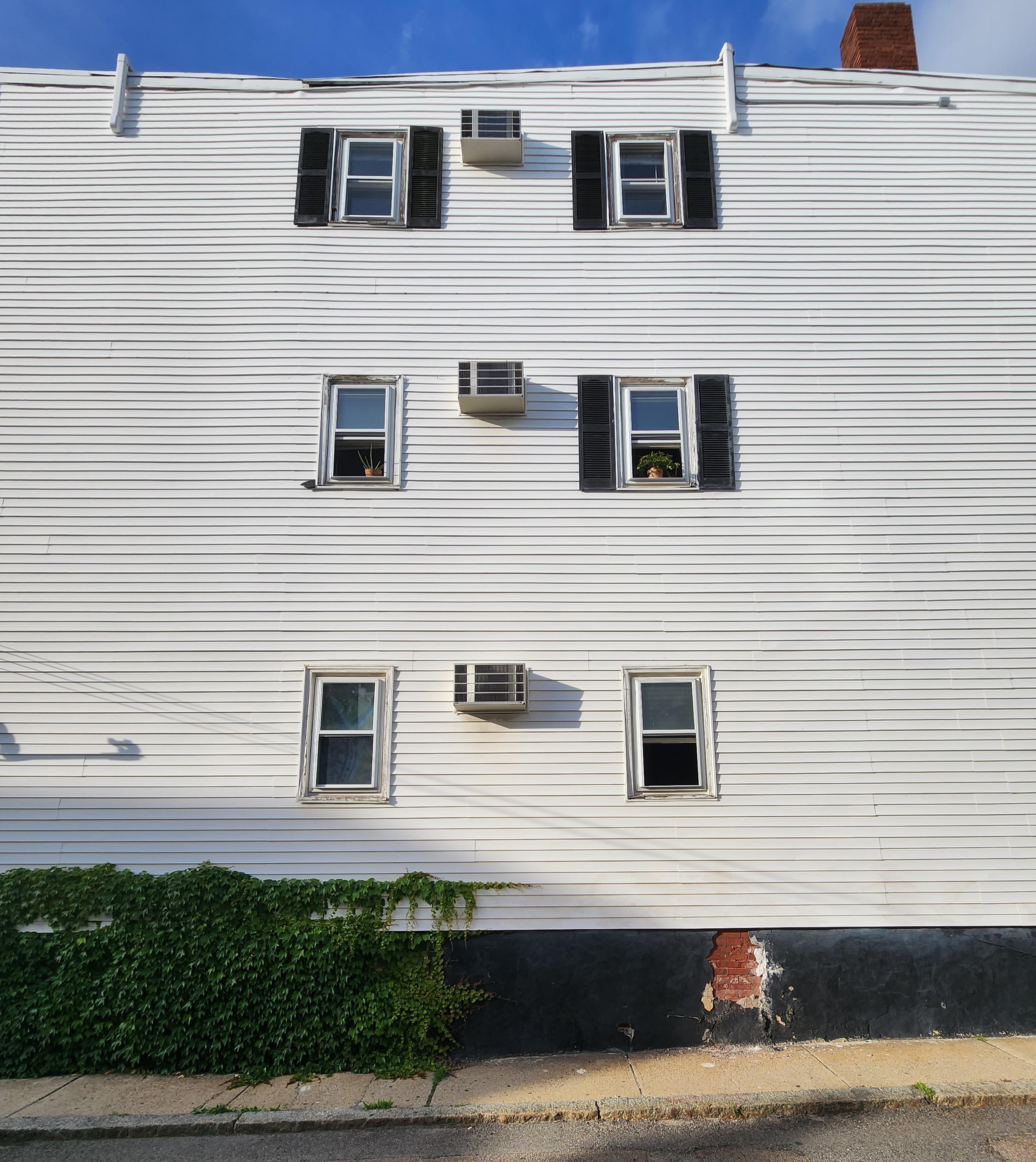 Plants in windows | Scrolller