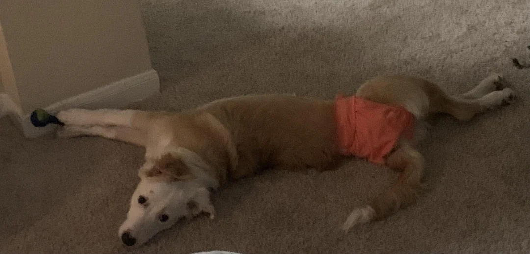 She’s been like this for 5 min. I think she’s broken. | Scrolller