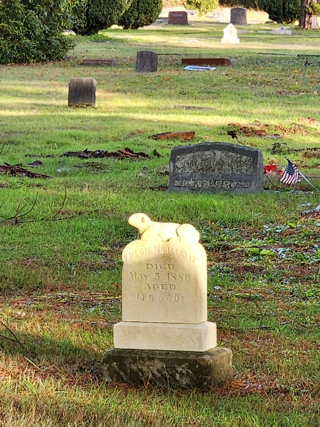 Old grave | Scrolller