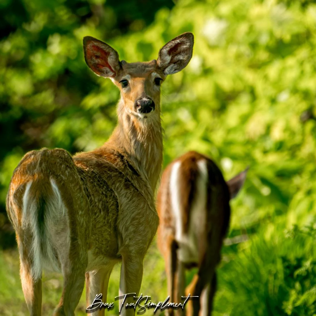 An aftervwork encounter | Scrolller