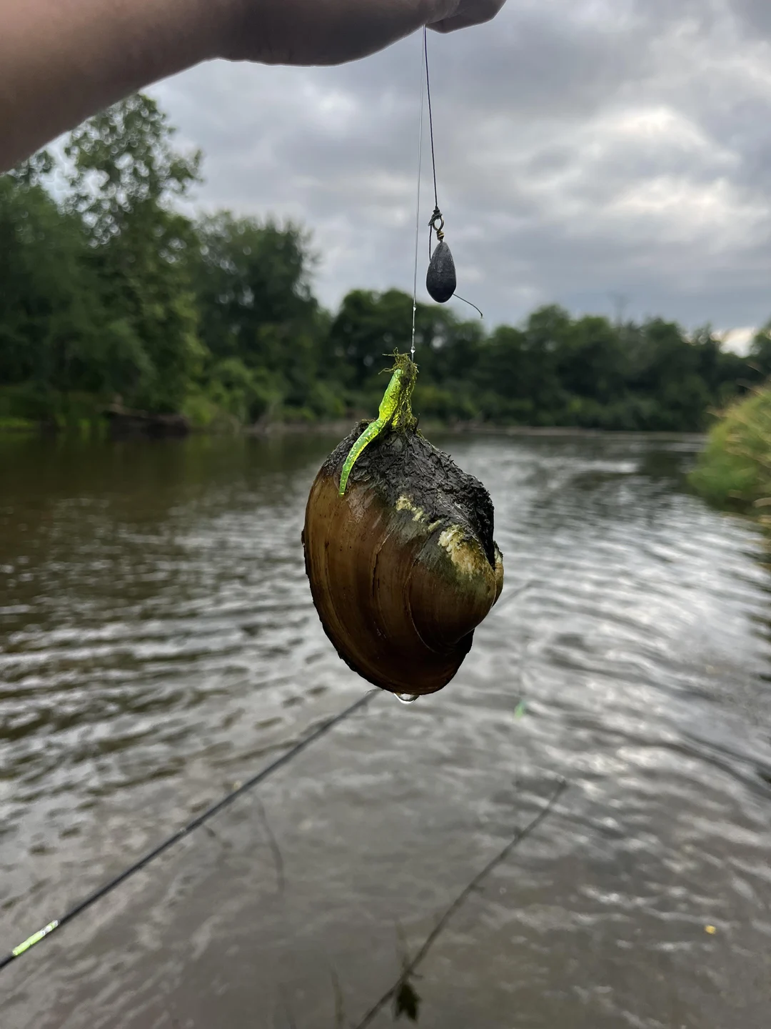 Was fishing and instead of fish, accidentally caught a clam | Scrolller