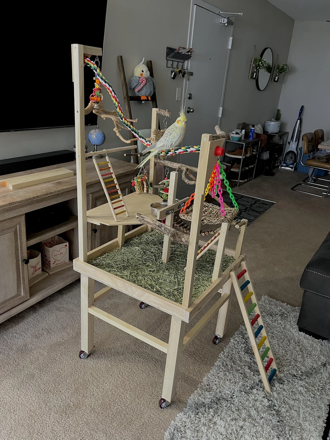 Lemon’s play stand construction is finally completed! | Scrolller