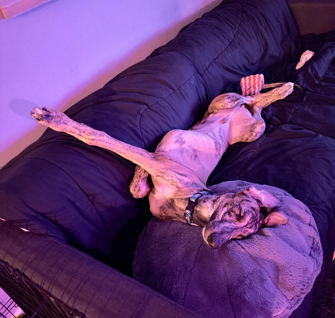 Peak comfort | Scrolller