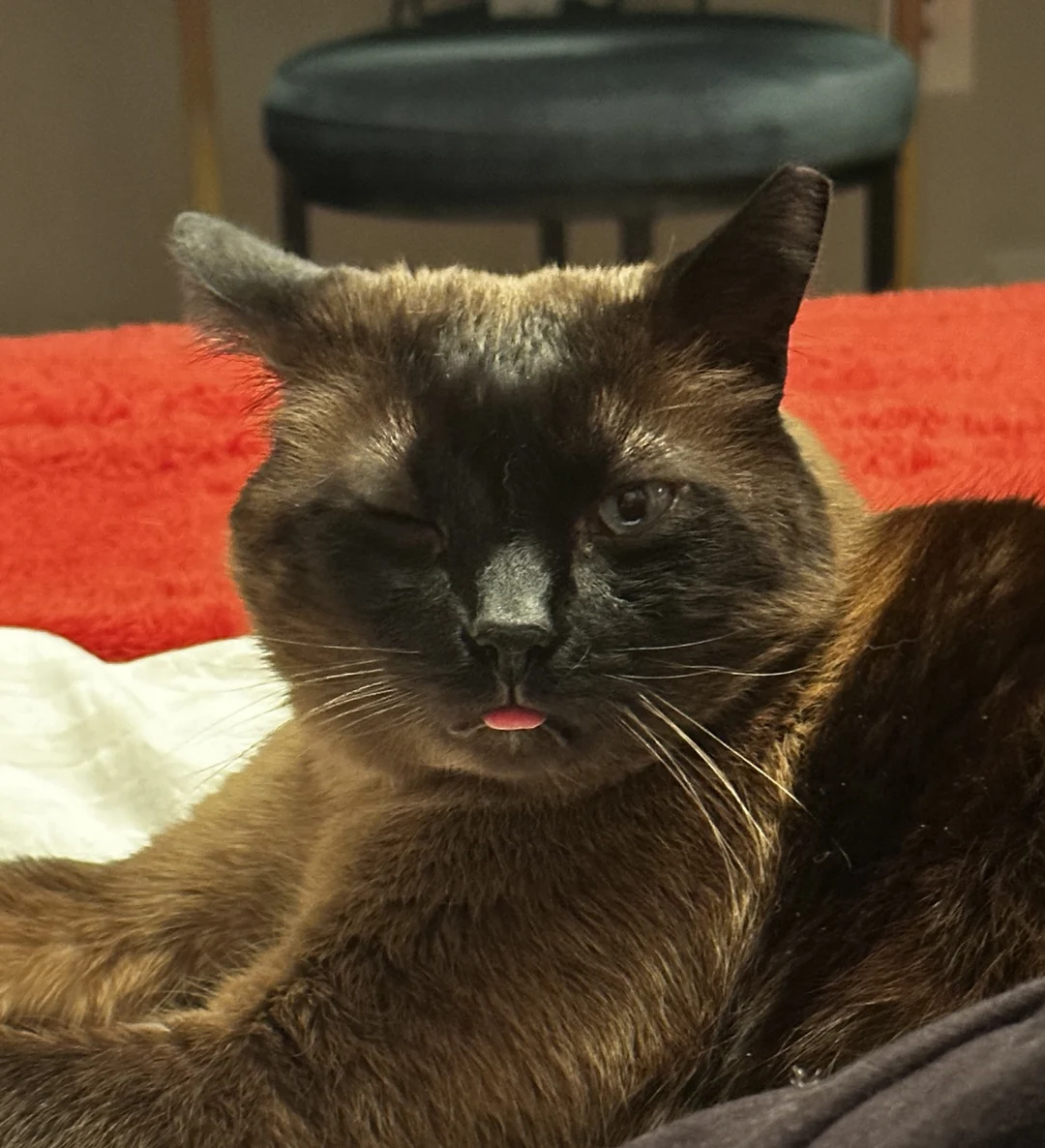 Waking up is rough. | Scrolller