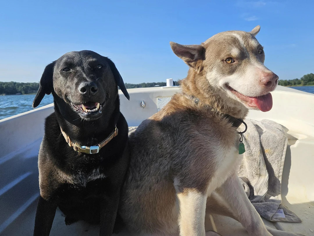 Adventure Buddies! | Scrolller