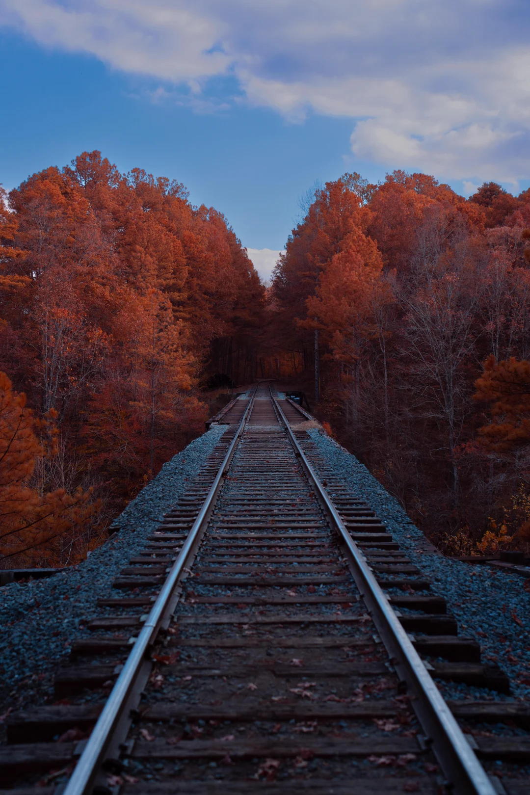 Railroad Line, Kolarivision IR Chrome | Scrolller