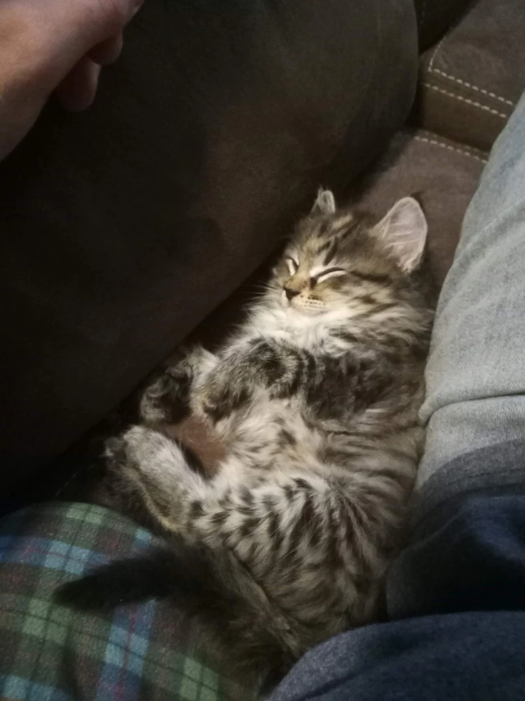 When Millie was tiny | Scrolller