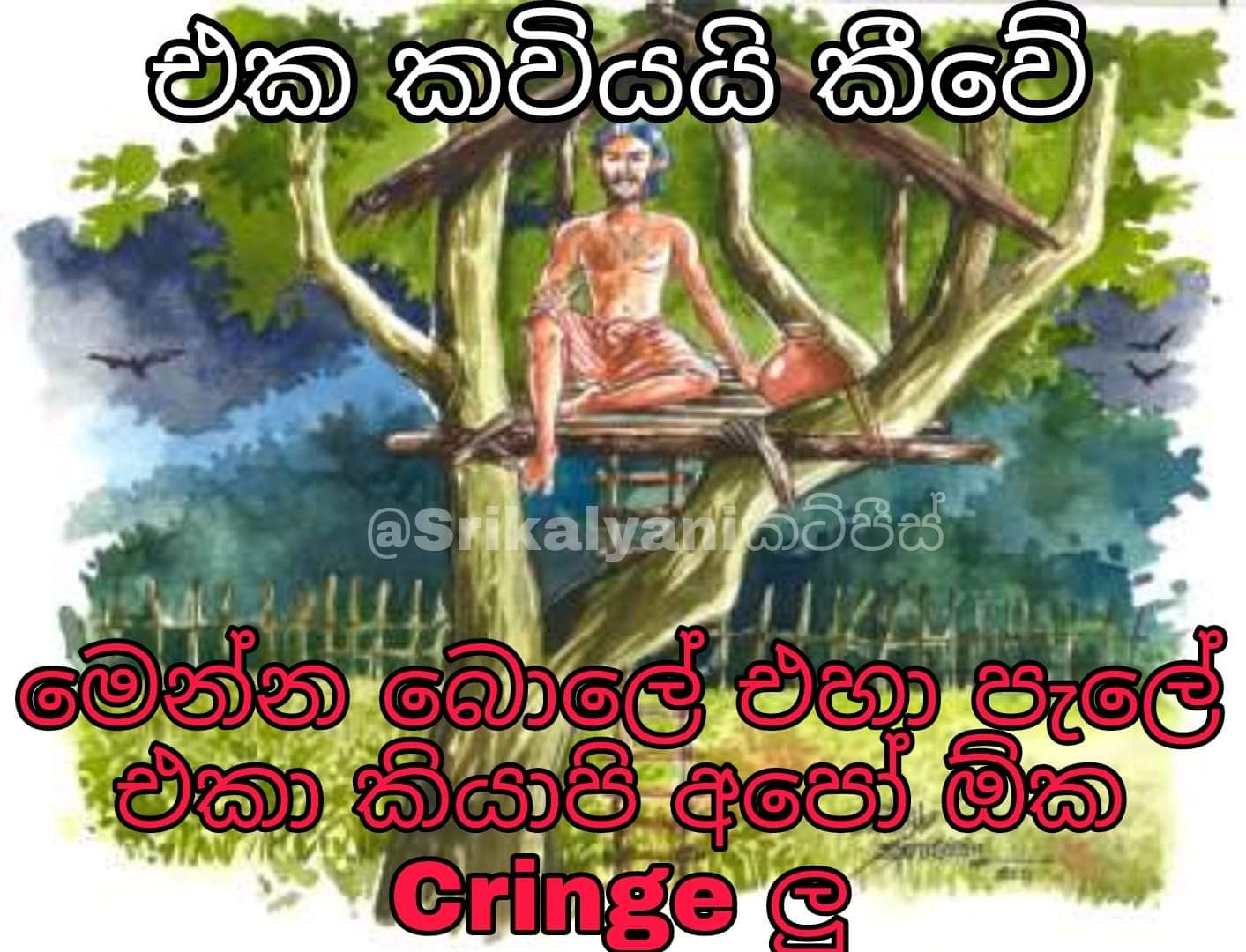 Baseikayo un | Scrolller