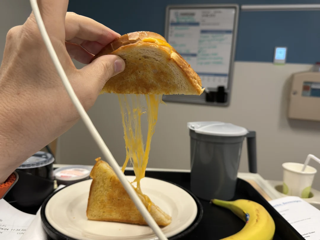 Not the best circumstances but, hey, grilled cheese | Scrolller