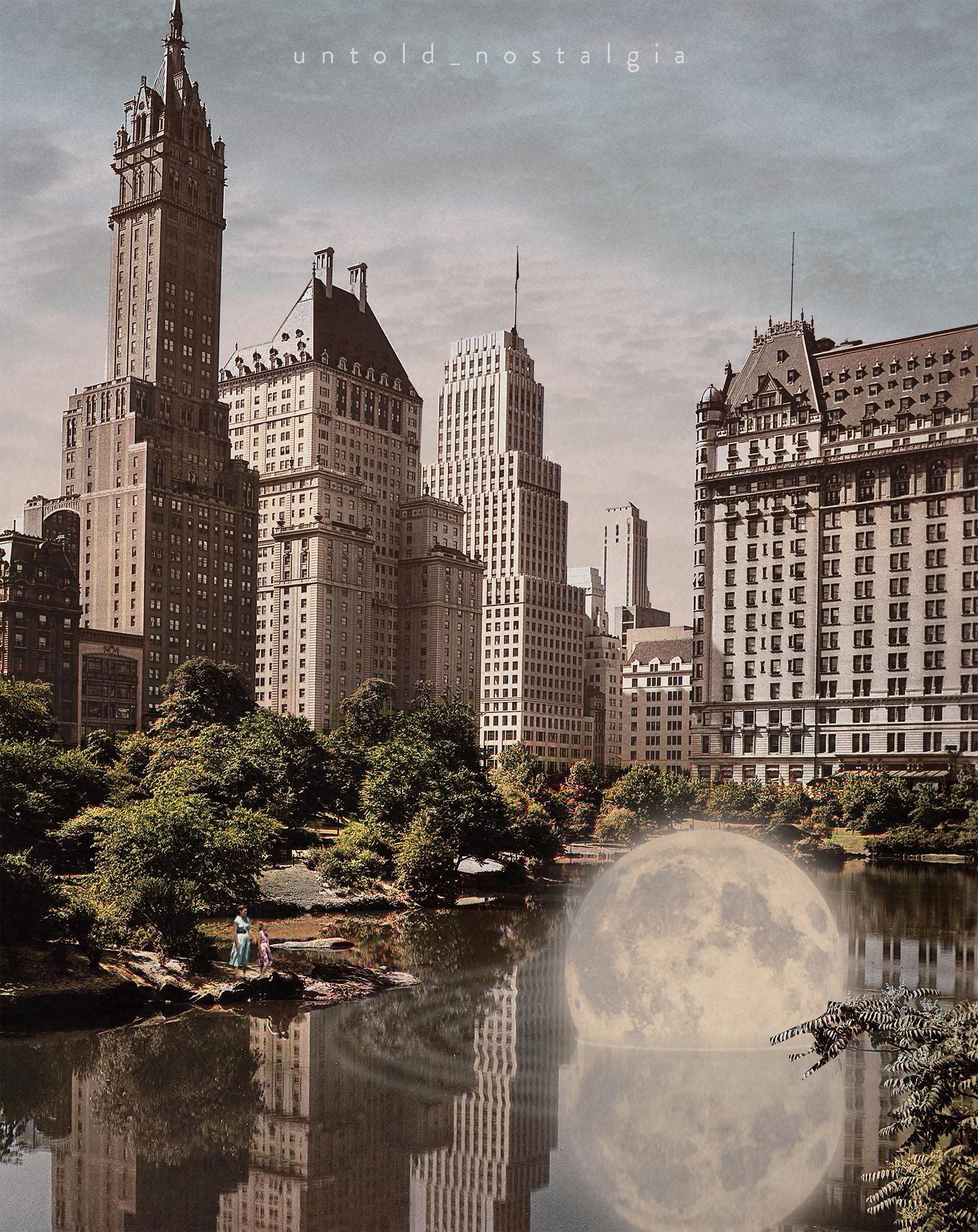 Emerging. [OC] | Scrolller