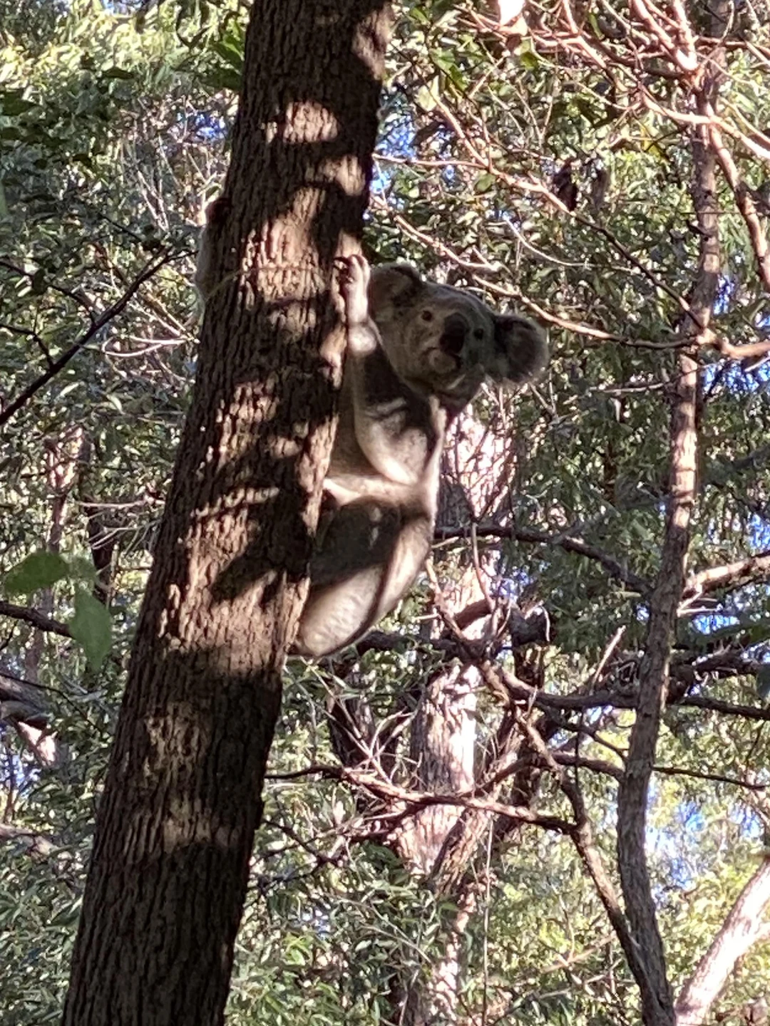 Visiting old uni friends | Scrolller