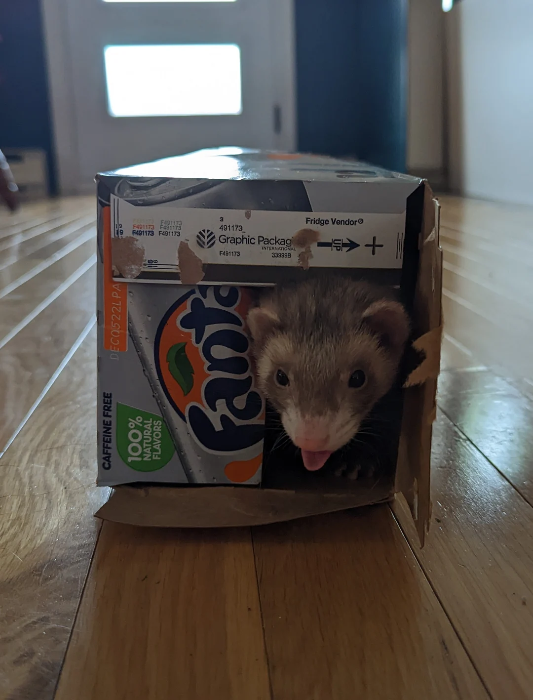 Boxes and bleps | Scrolller