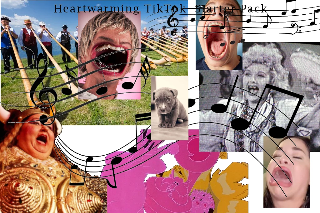 Heartwarming TikTok Starter Pack | Scrolller