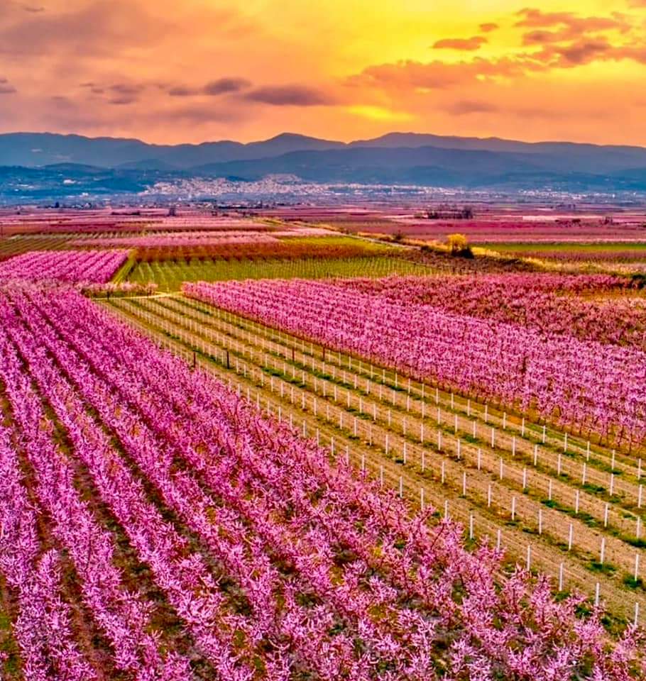 Veria, Greece | Scrolller