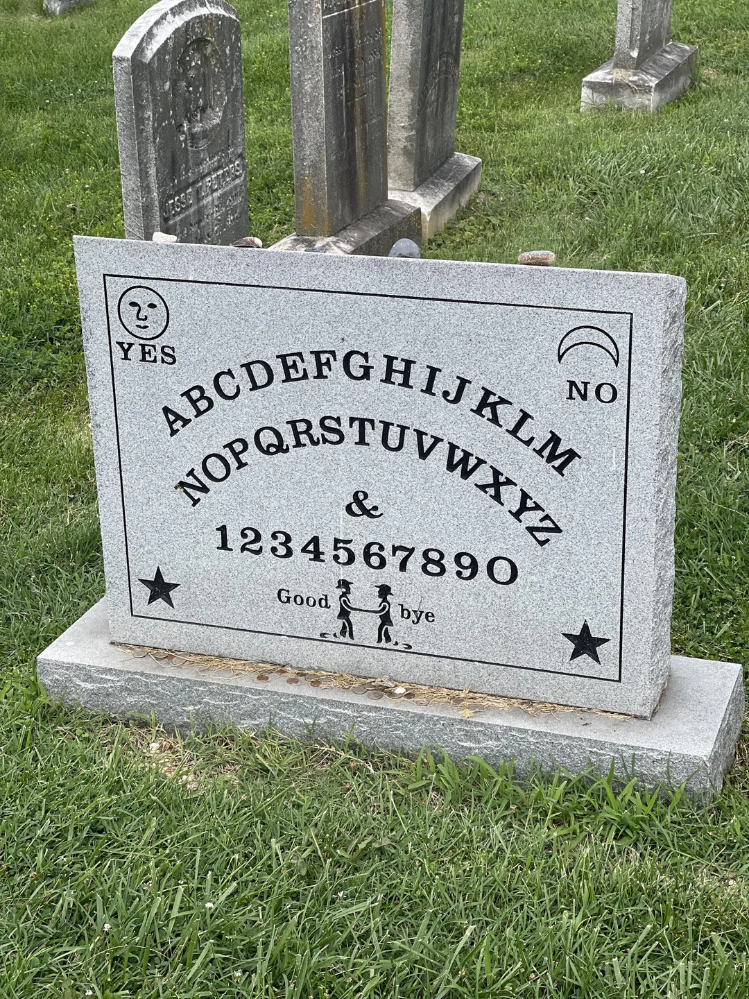 OC/ Baltimore, MD | Scrolller