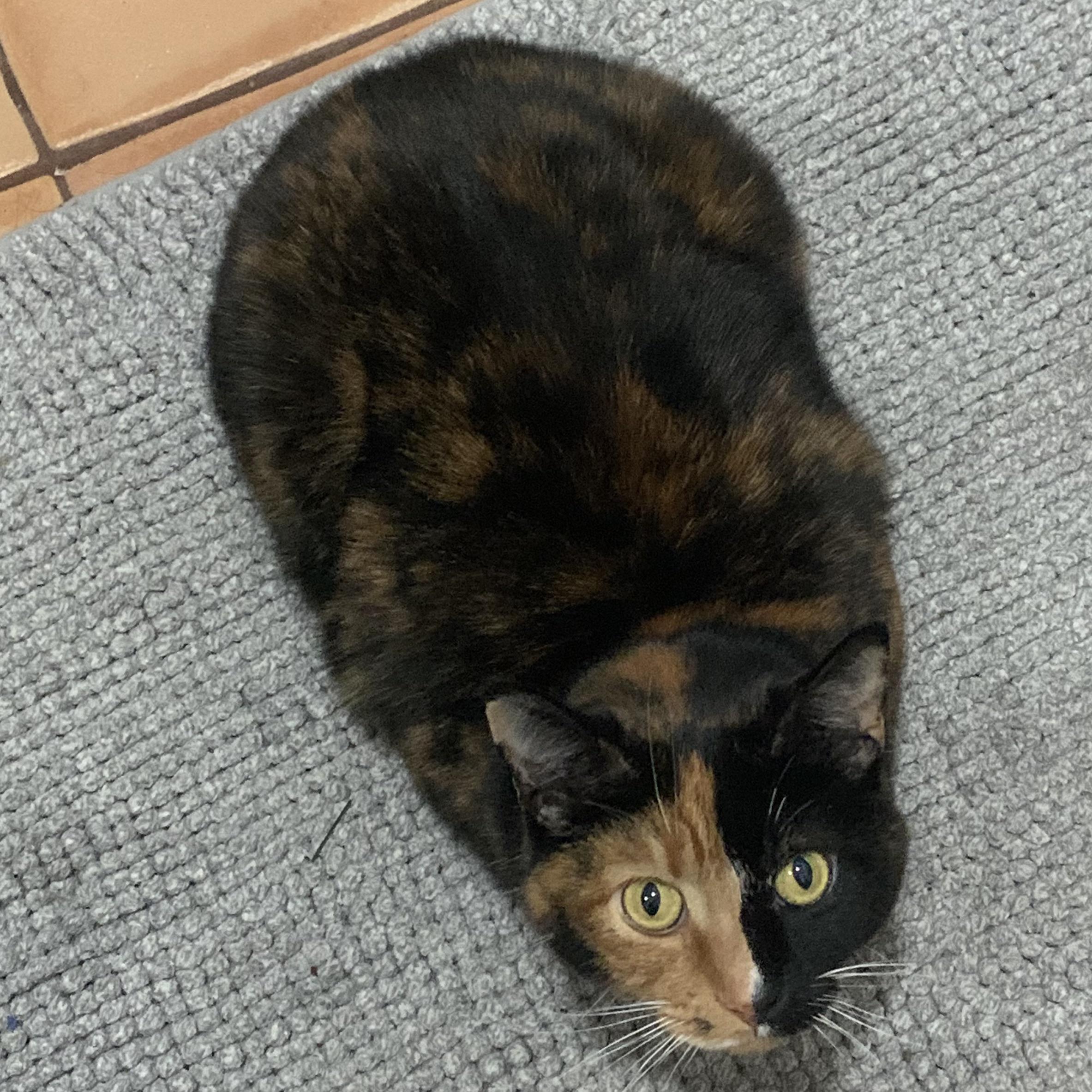 I caught a multigrain loaf | Scrolller