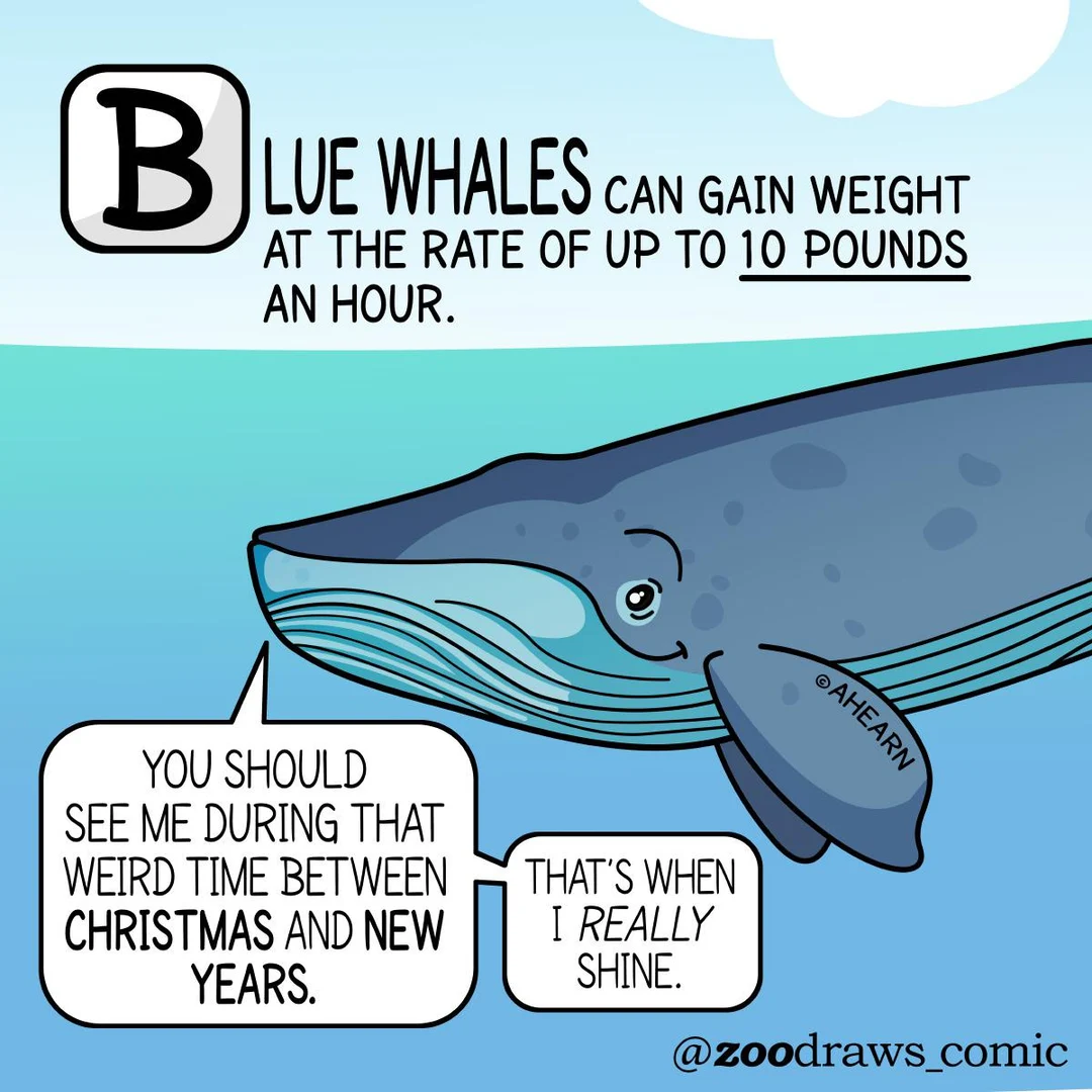 This is not a personal attack [oc} | Scrolller