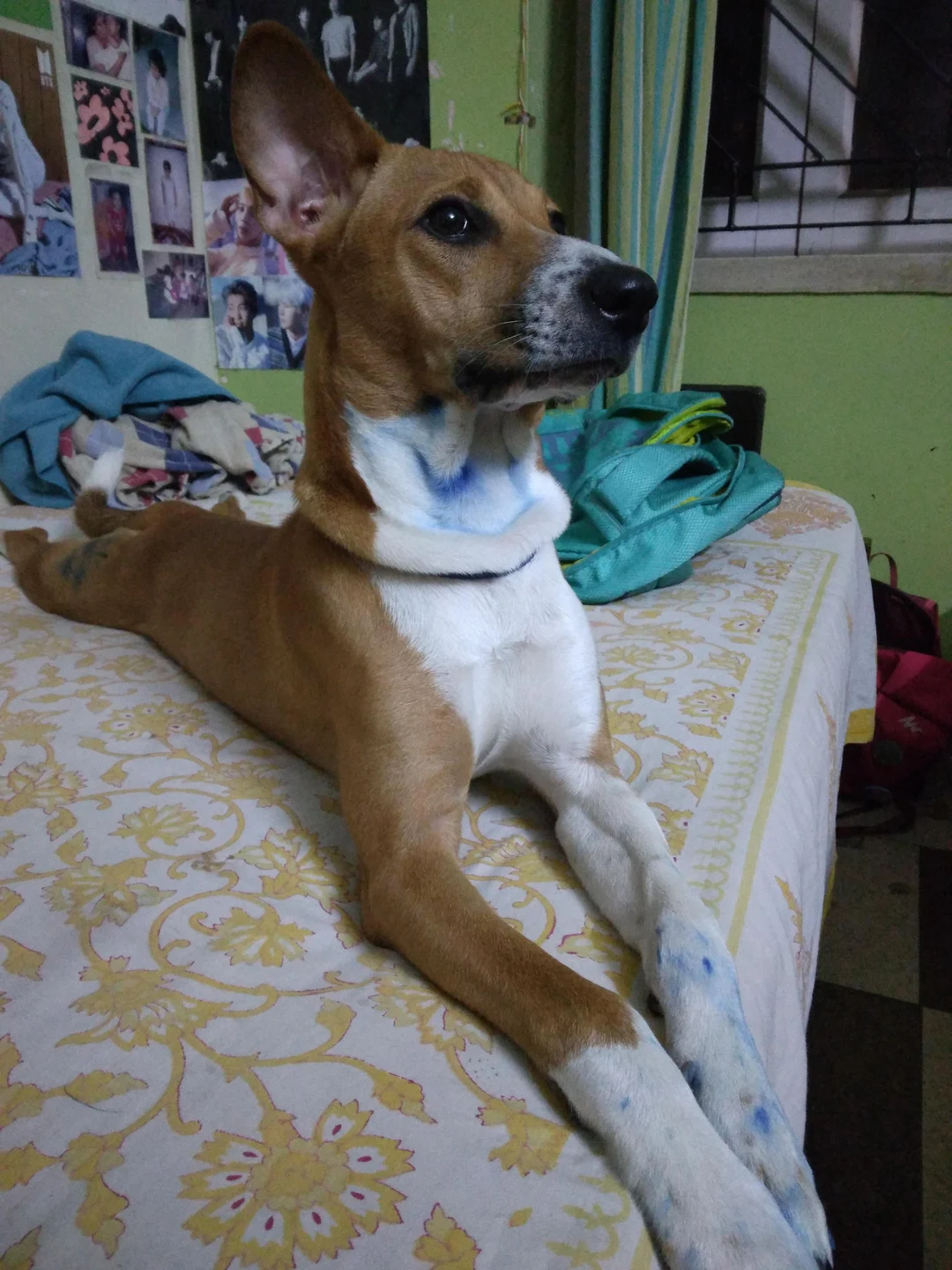 she loves eating ink in her signature pose | Scrolller