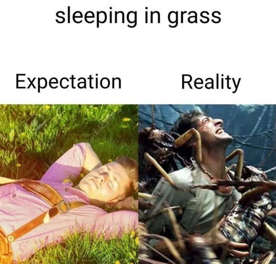 Sleeping In Grass, Expectation vs Reality, Agreed? | Scrolller