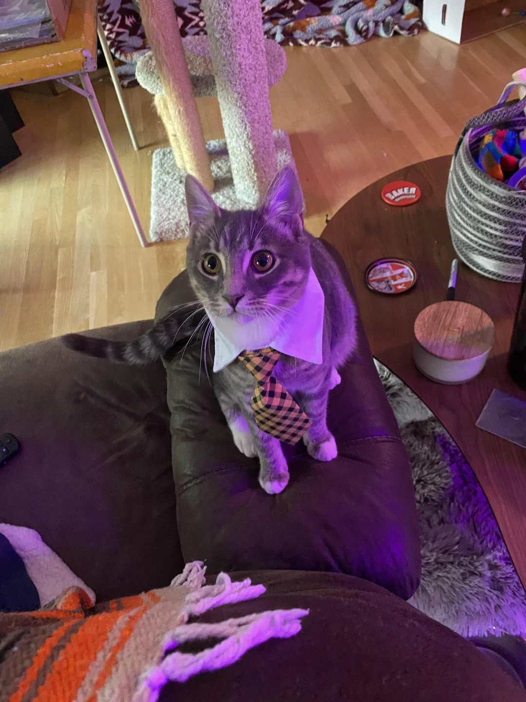 Ozzy, the new bakery intern. | Scrolller