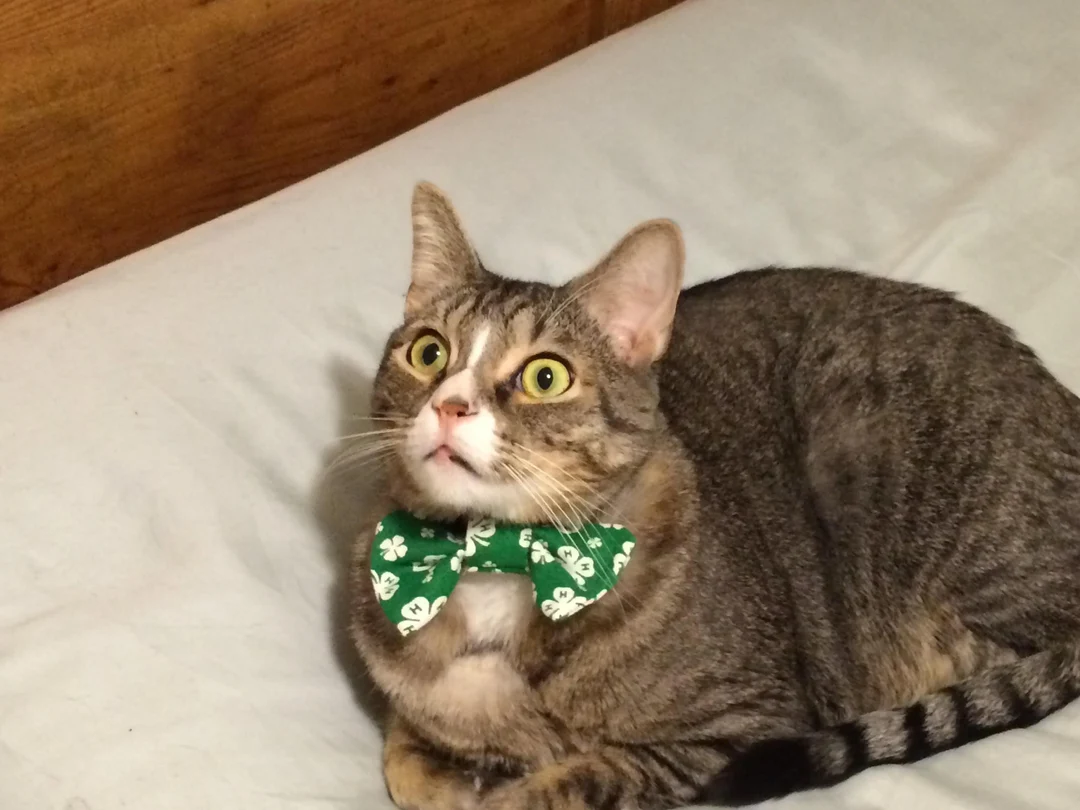 Jack looking handsome | Scrolller