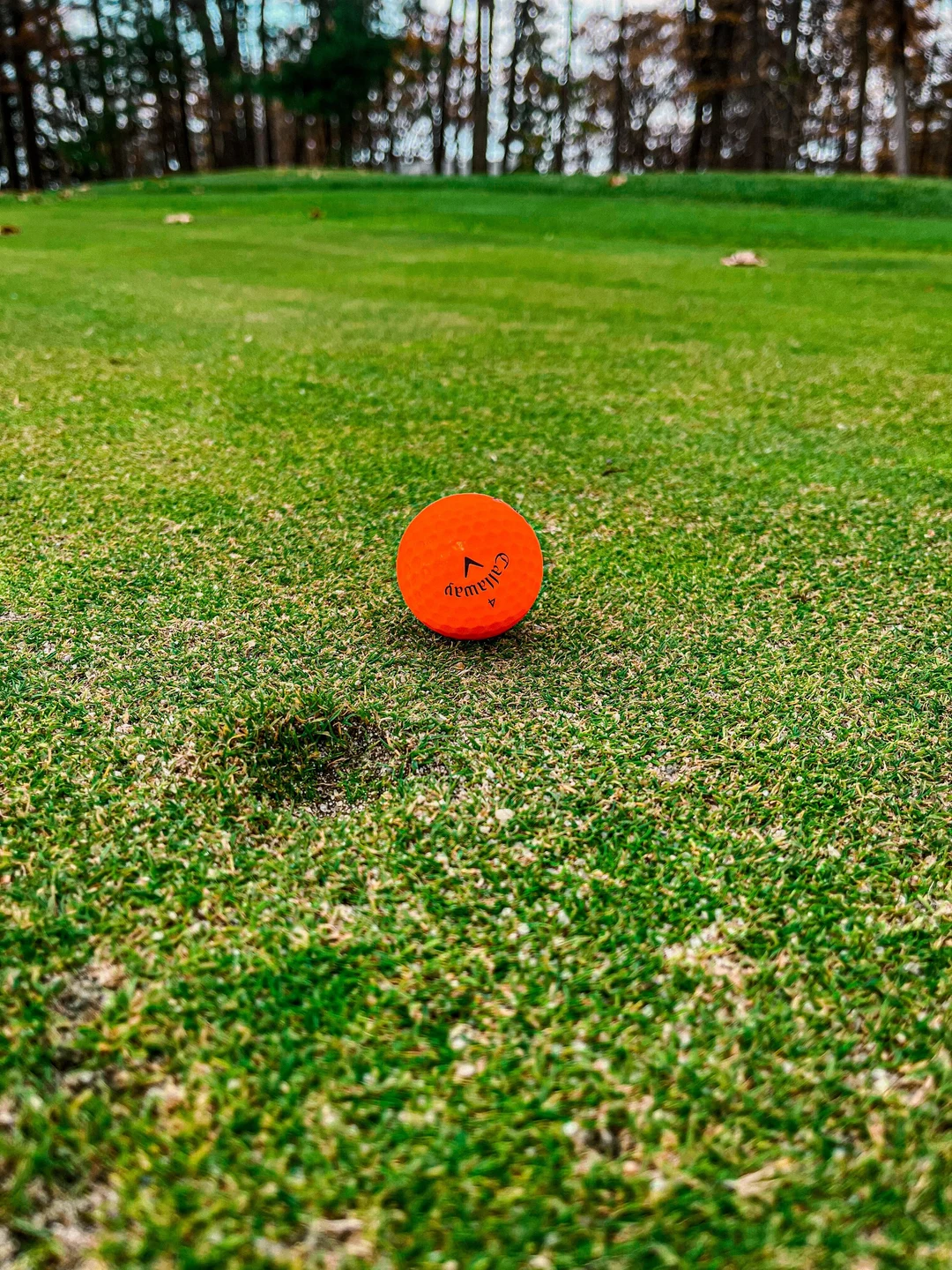 Last day on the course for the season yesterday. Man, I’m going to miss fall golf! | Scrolller