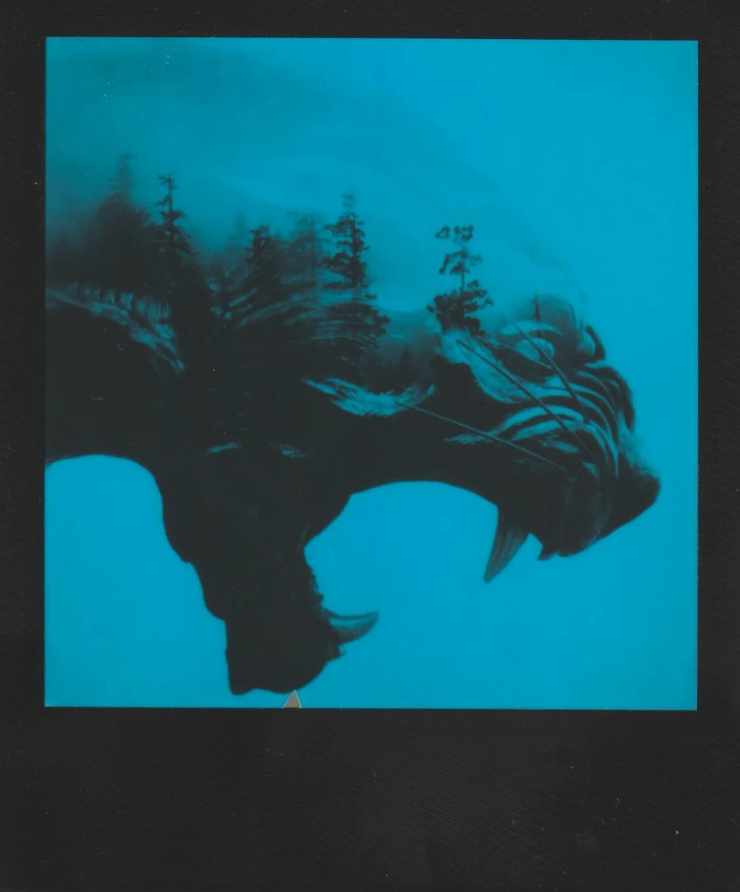 Double exposure looks damn good in duochrome | Scrolller