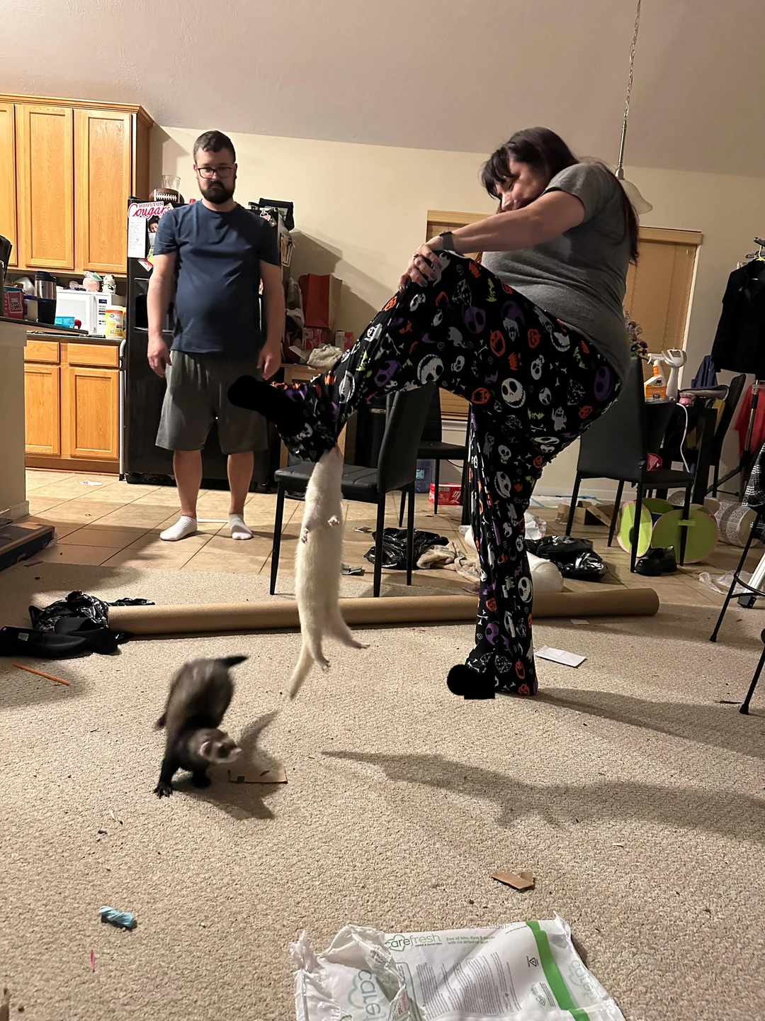 Paper Towel attack | Scrolller