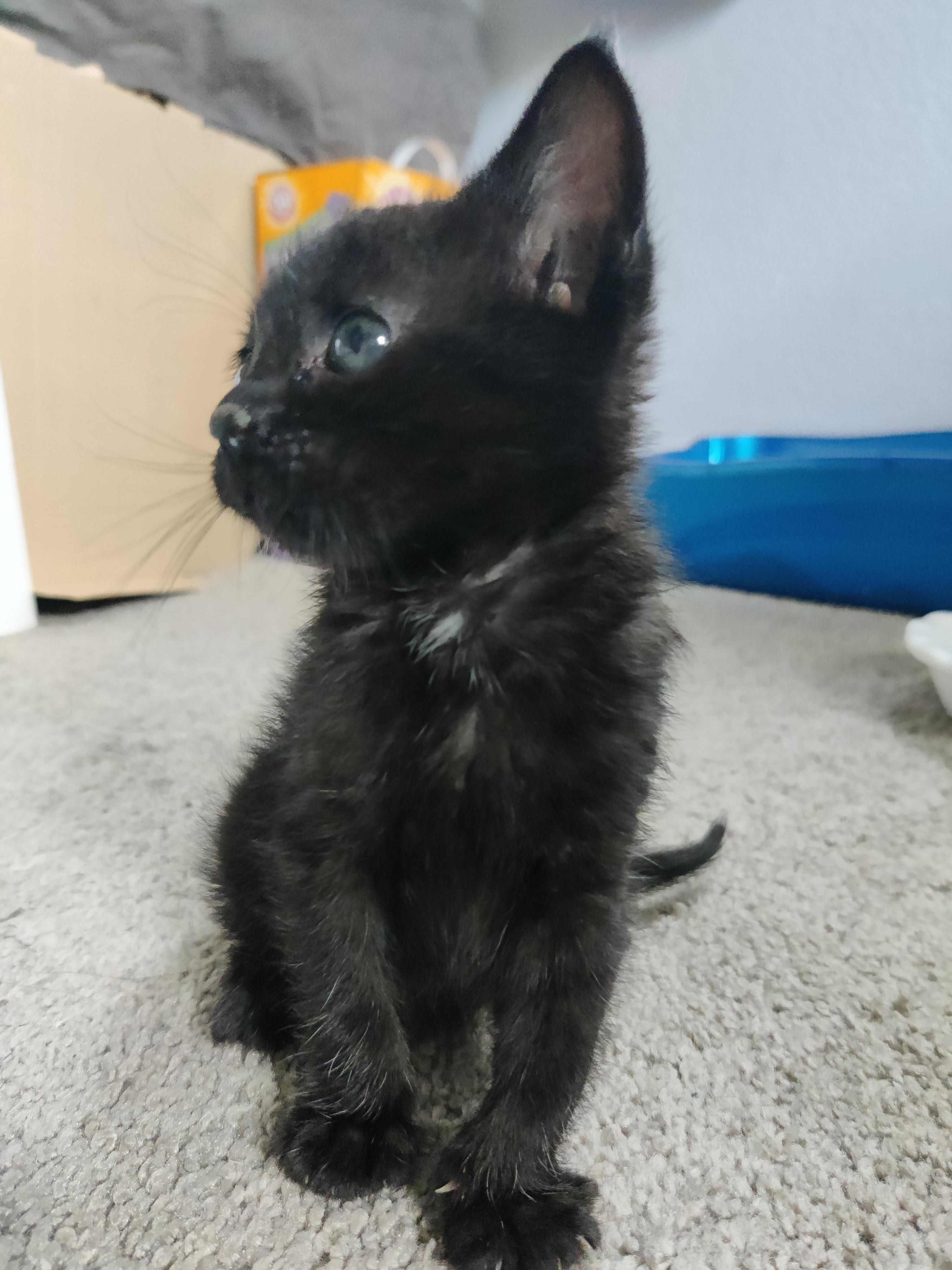 Baby void | Scrolller