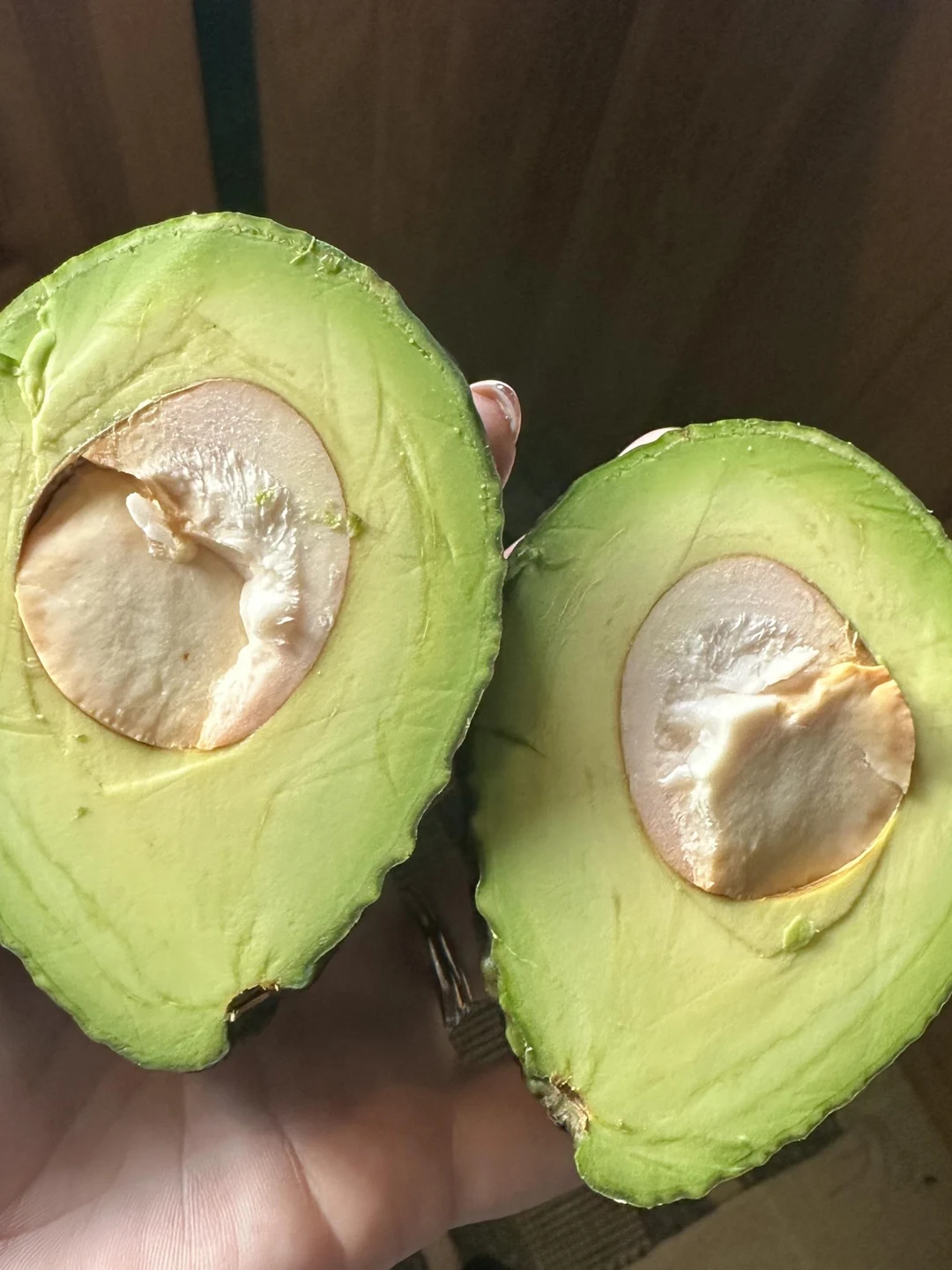 Potential meaning? | Scrolller