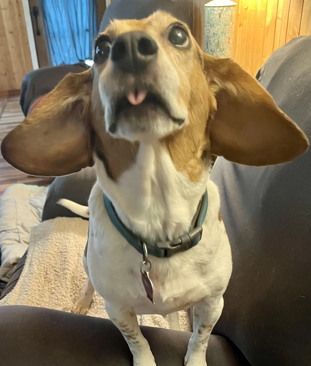 We just reached peak derp | Scrolller