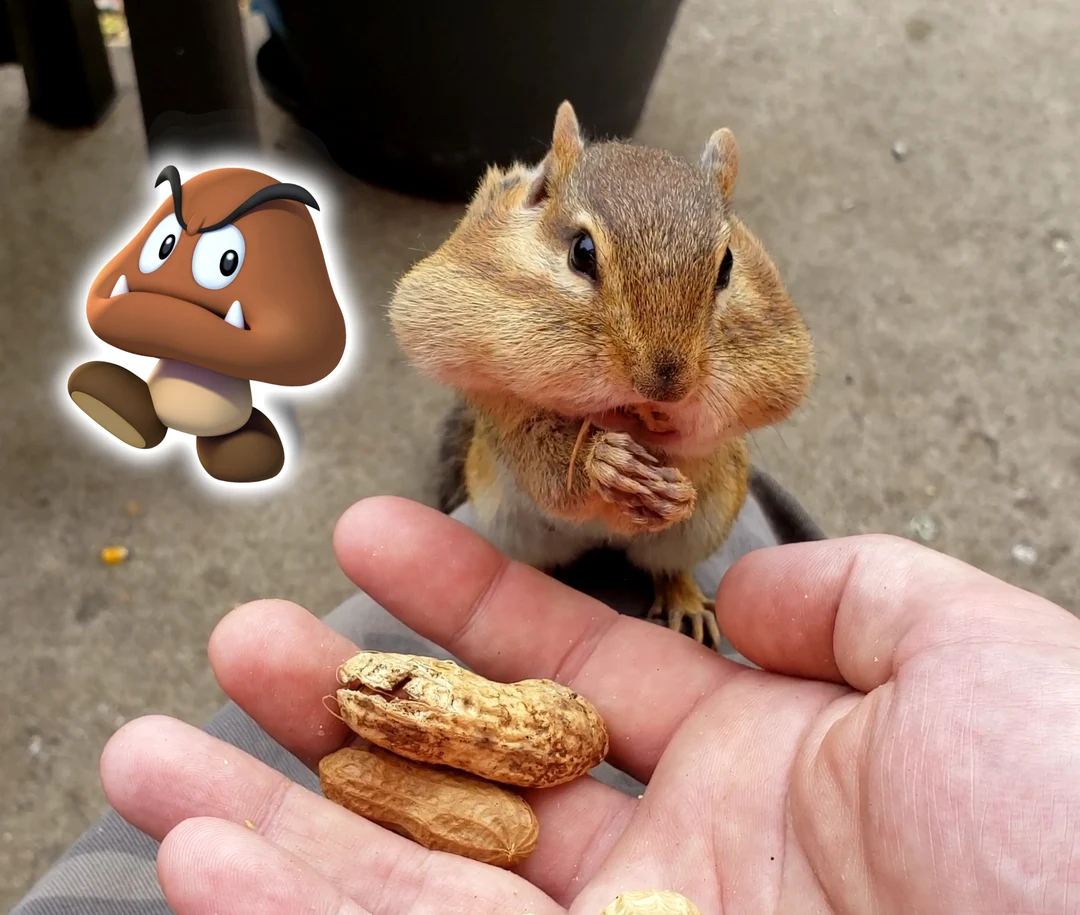 6 Peanuts + Chipmunk = Goomba | Scrolller