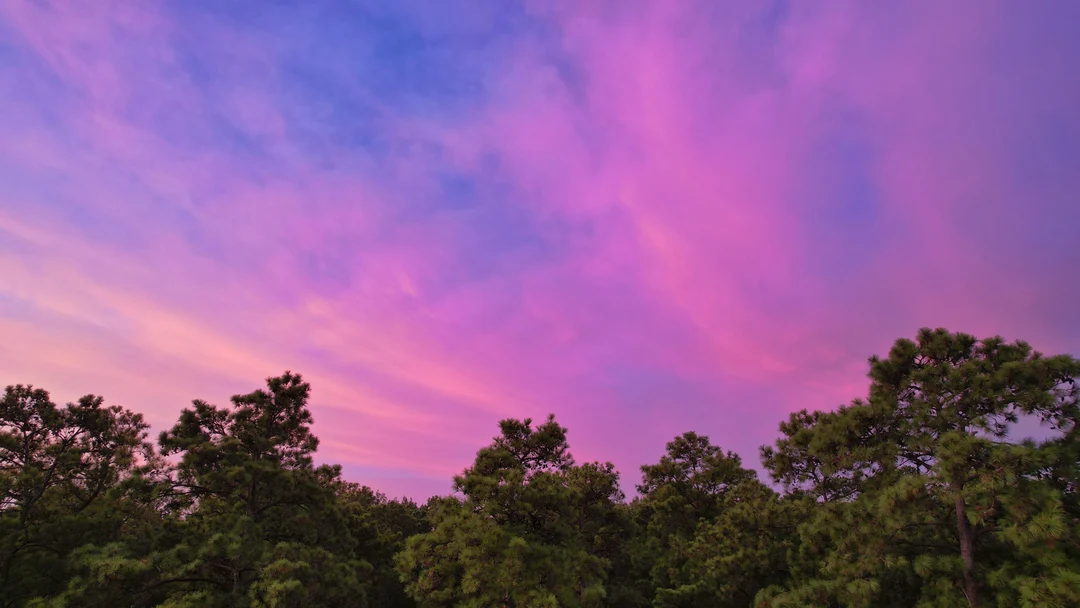 Long overdue cloudy morning in Texas | Scrolller