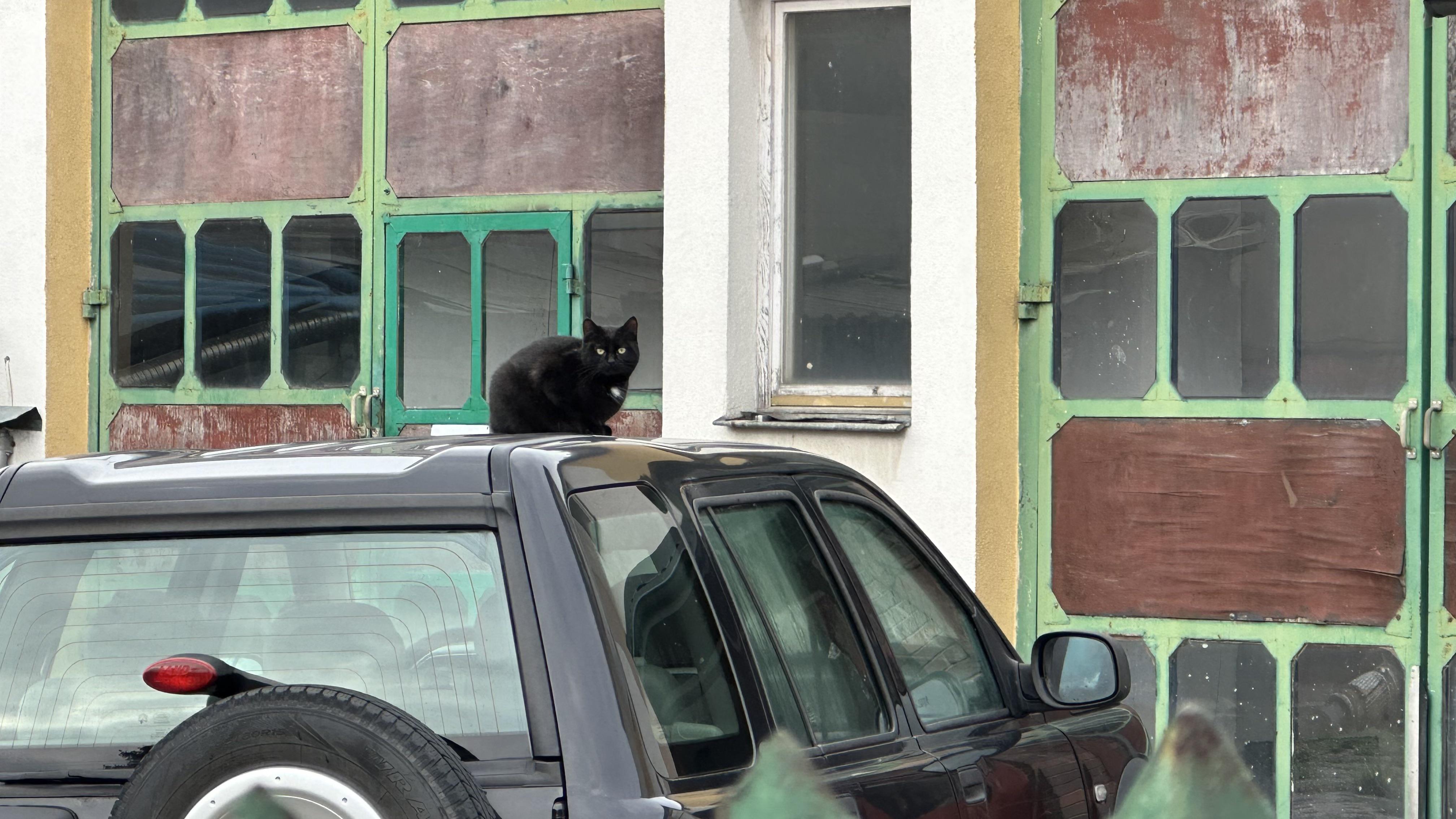 'That car is mine now' ~ void loaf probably | Scrolller