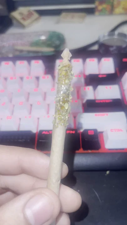 🏎💨 fresh pressed | Scrolller