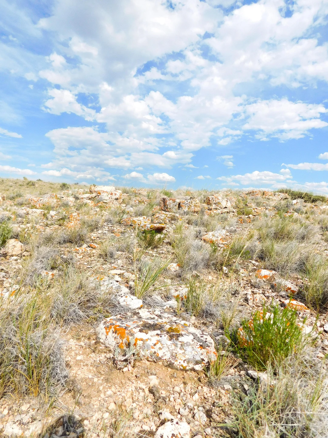 [OC] Bighorn Canyon Recreation Area [3456x4608] | Scrolller