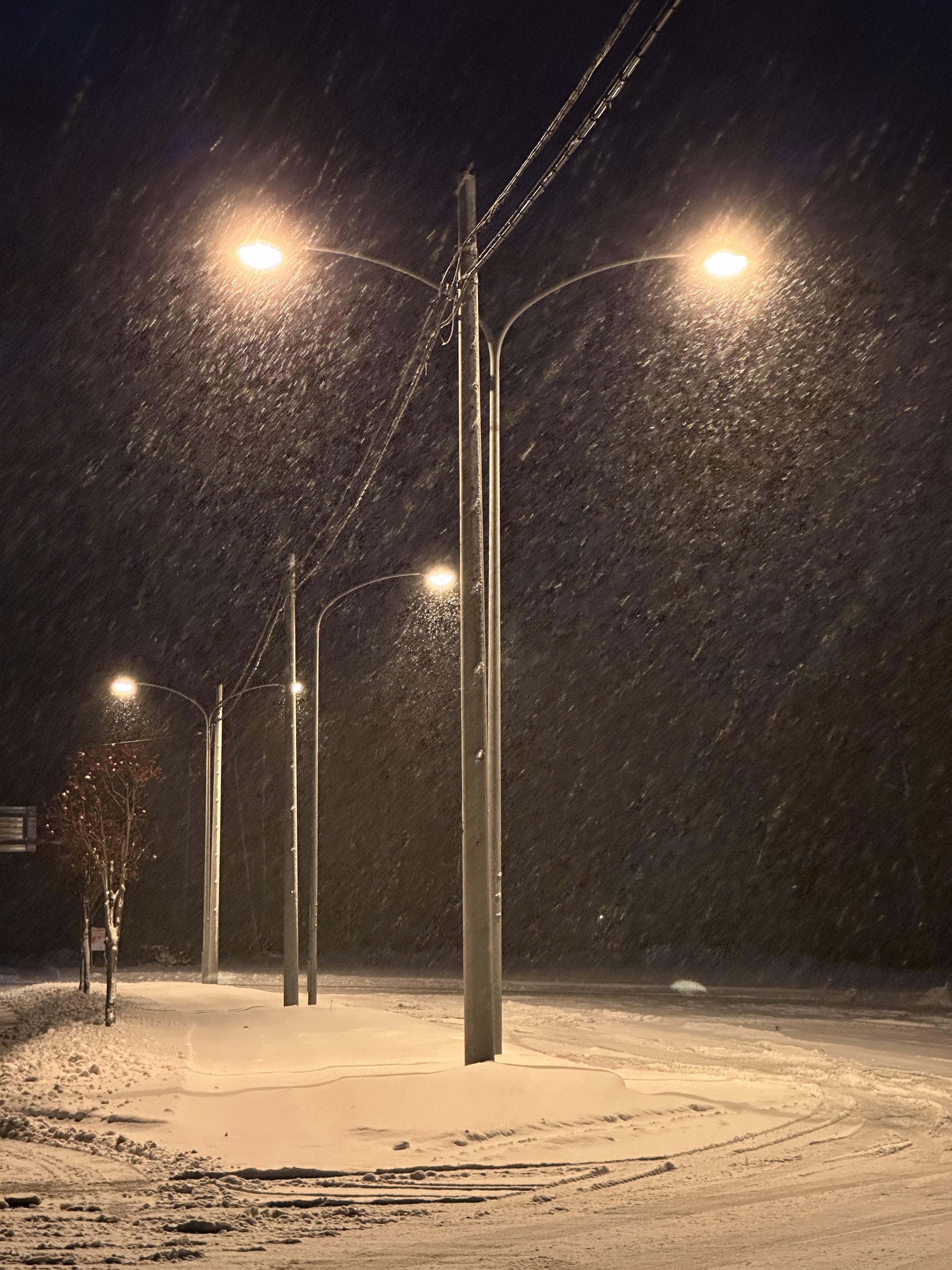 Snowy Japan | Scrolller