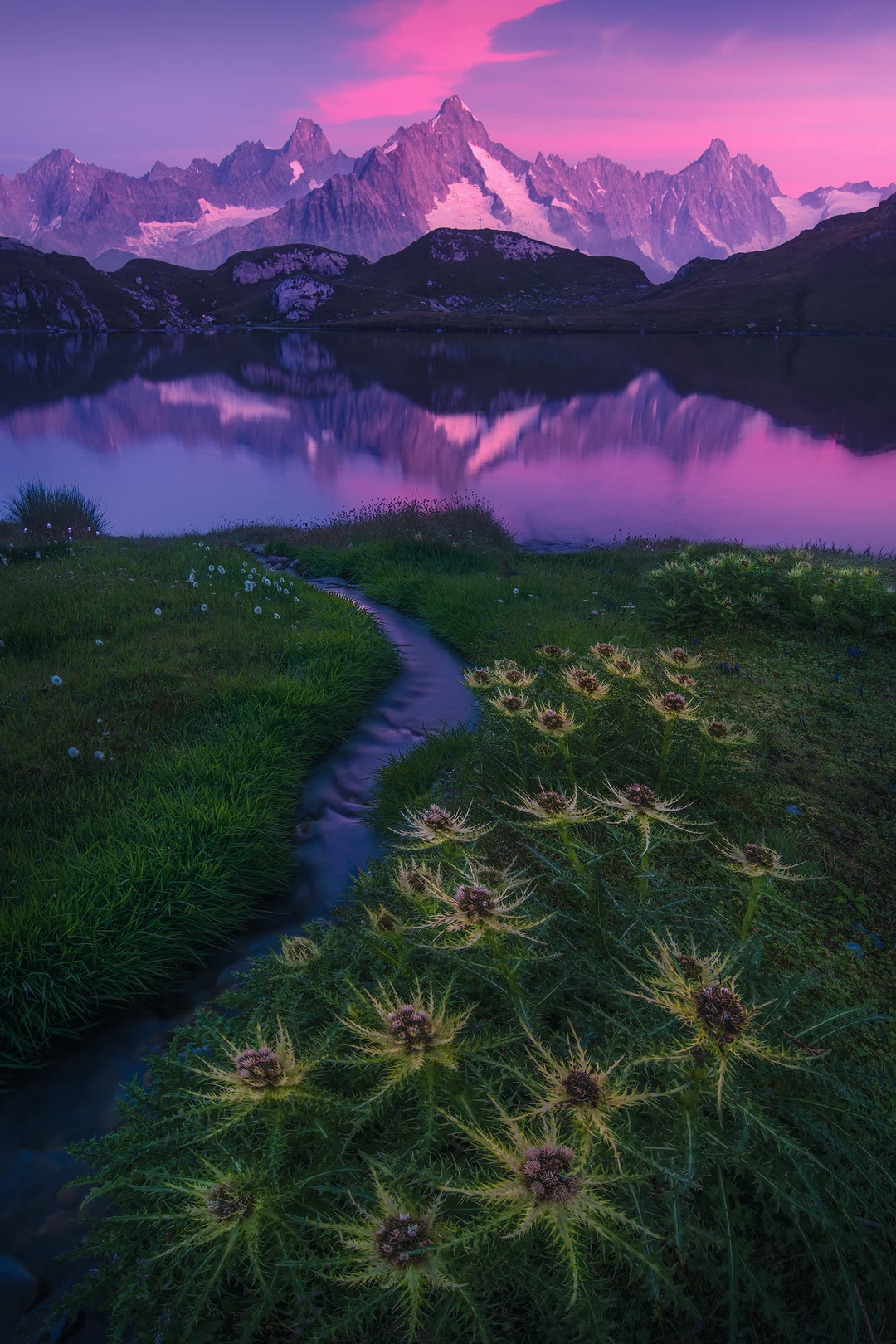 Peaceful morning in the Alps, Switzerland [OC] [1334x2000] IG: arpandas_photography_adventure ...