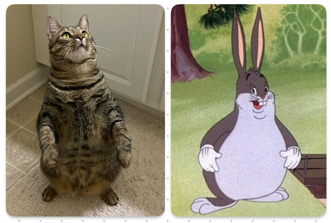 Bilbo Chungus | Scrolller