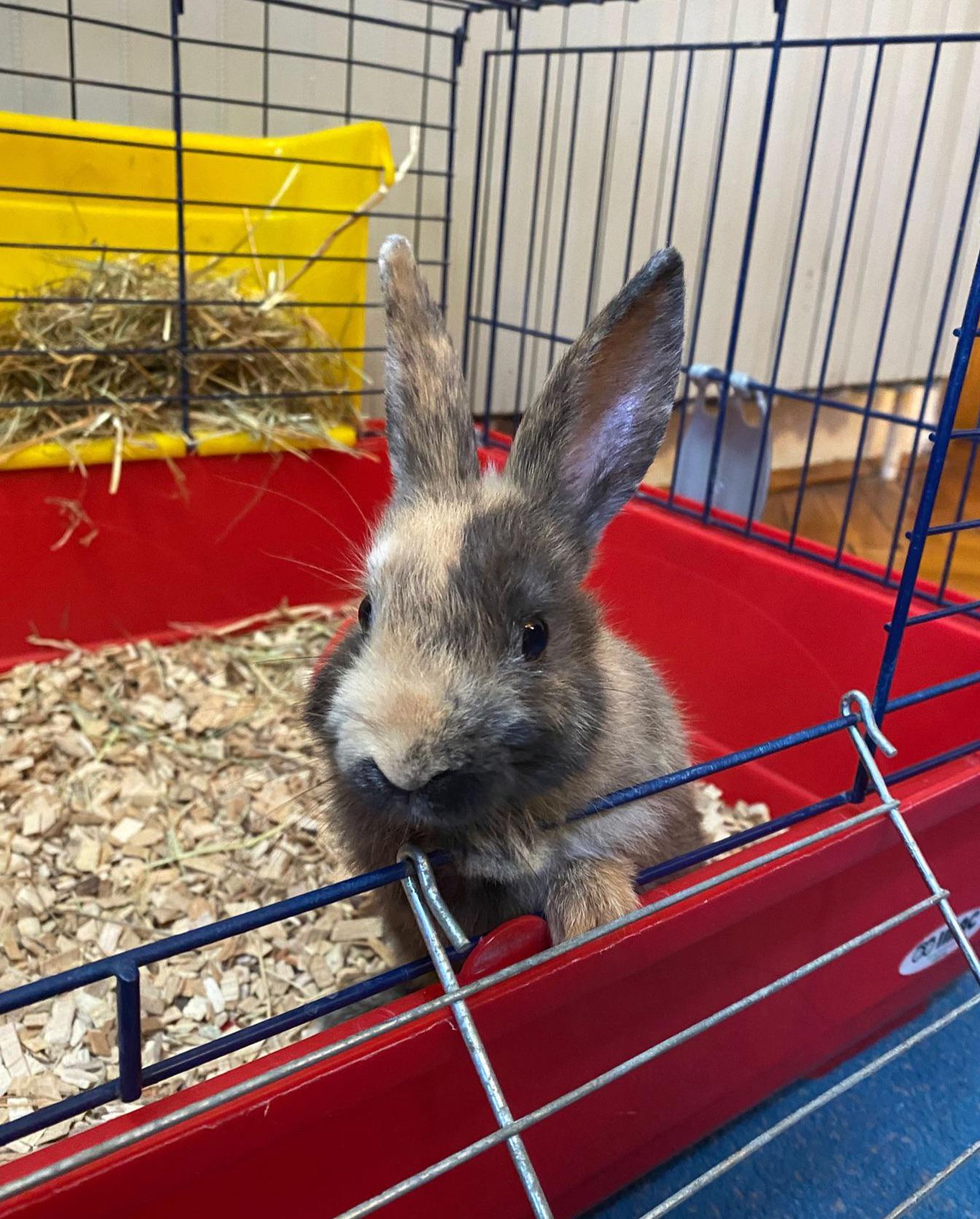 Our new family member! | Scrolller