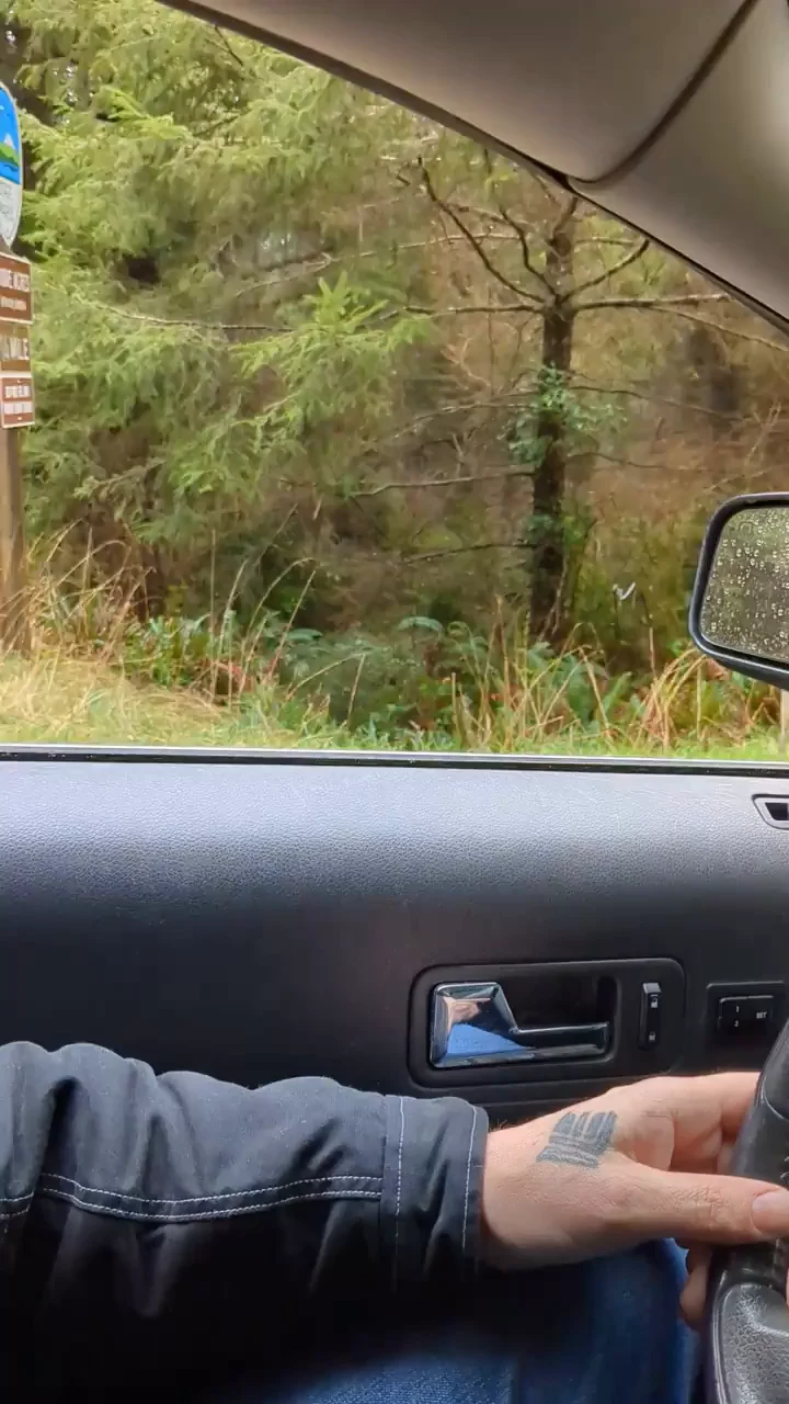 Resident Black Tail on the Oregon coast. | Scrolller