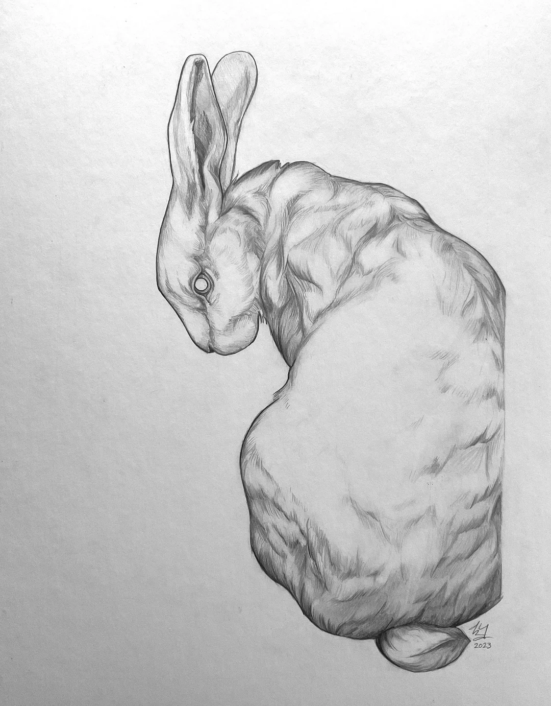 “Self-Reflection”, Amy Houweling (Me), Graphite, 2023 | Scrolller