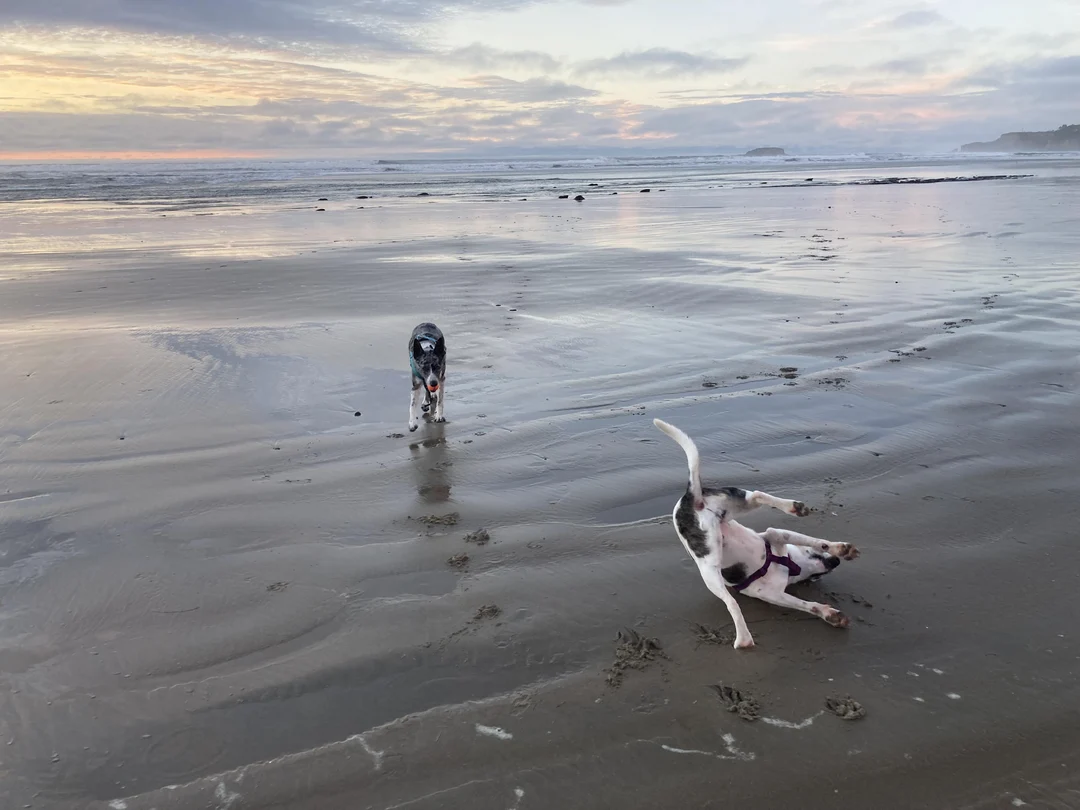 She’s special | Scrolller