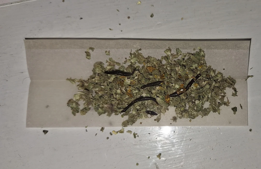 proper wake and bake | Scrolller