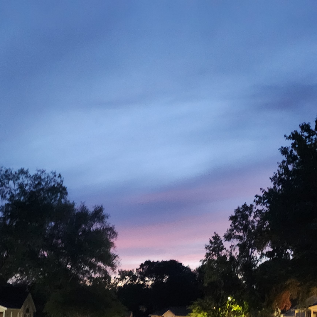 My view on my nightly walk | Scrolller