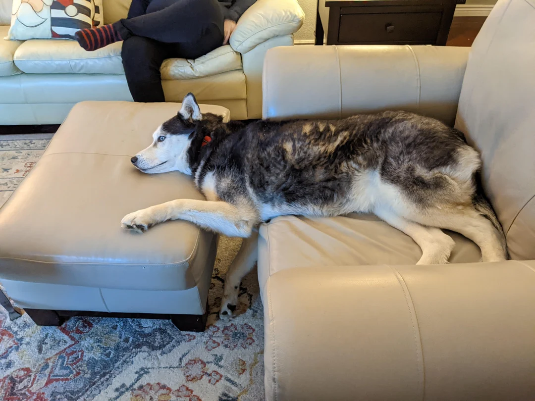 How is this comfortable? | Scrolller