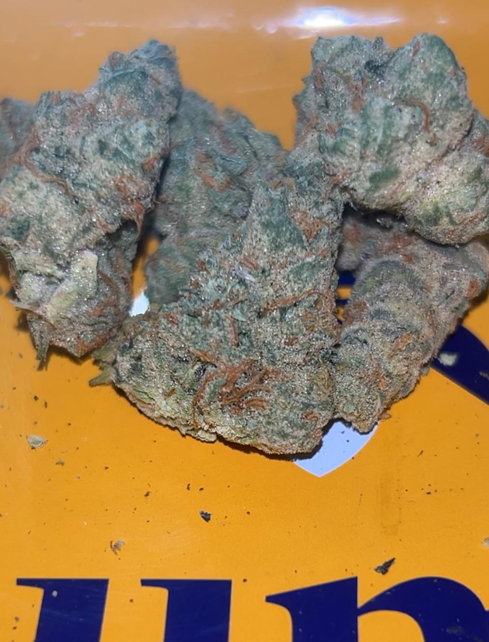 Is this mold | Scrolller