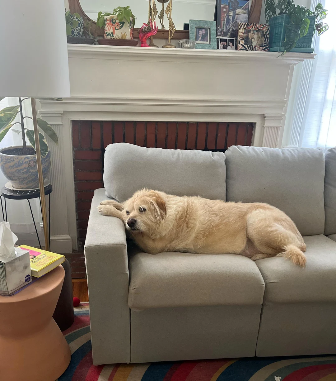 Help this poor fella | Scrolller