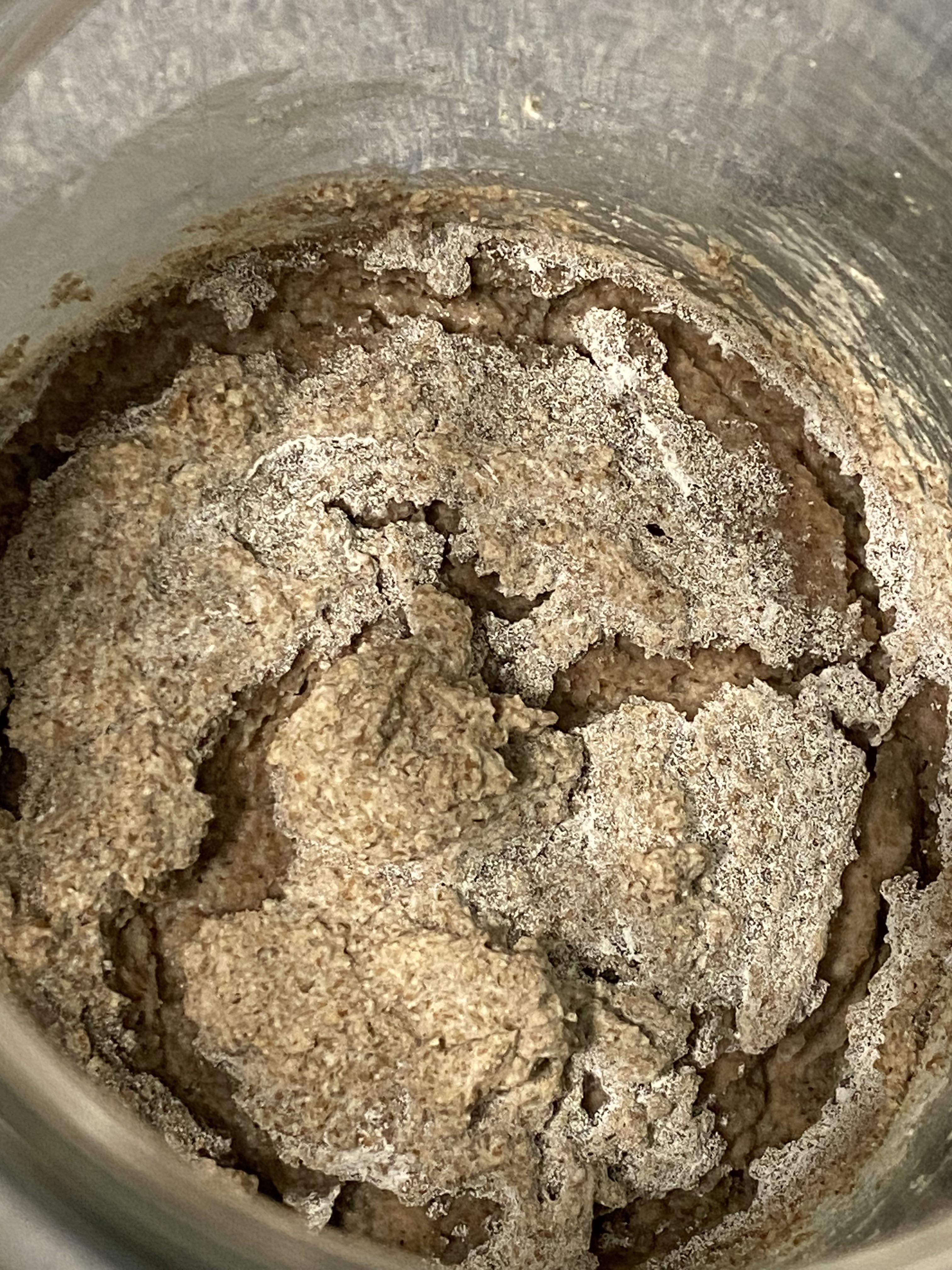 Is This Mold??? (sourdough starter) | Scrolller