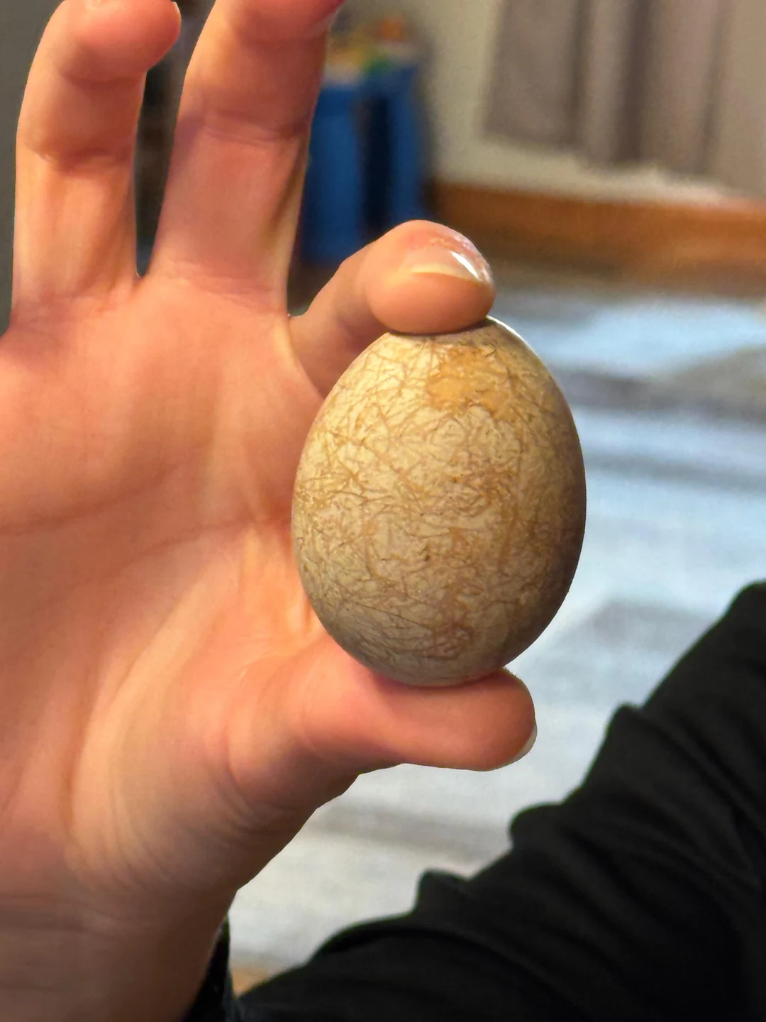 Weird Egg | Scrolller